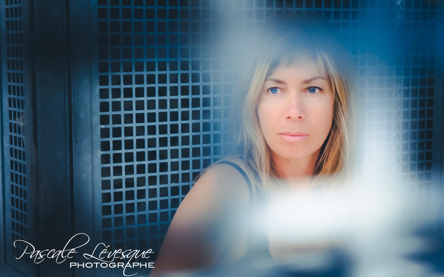 Quatre prix pour la photographe Pascale Lévesque