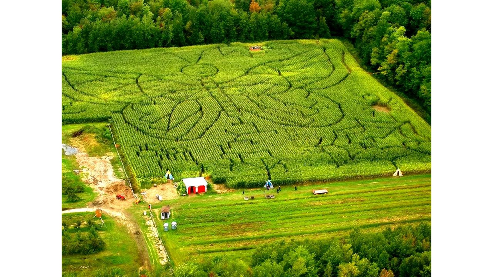 Le Verger Labonté vous propose une saison riche en découvertes ...
