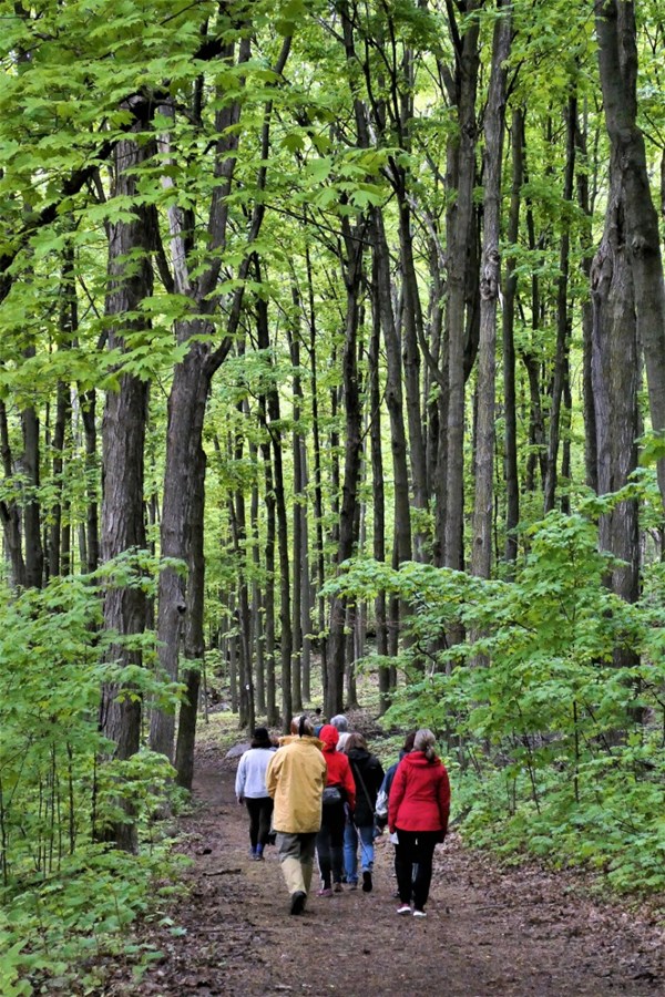 La forêt des sentiers de L'escapade nommée "première forêt propice au ...