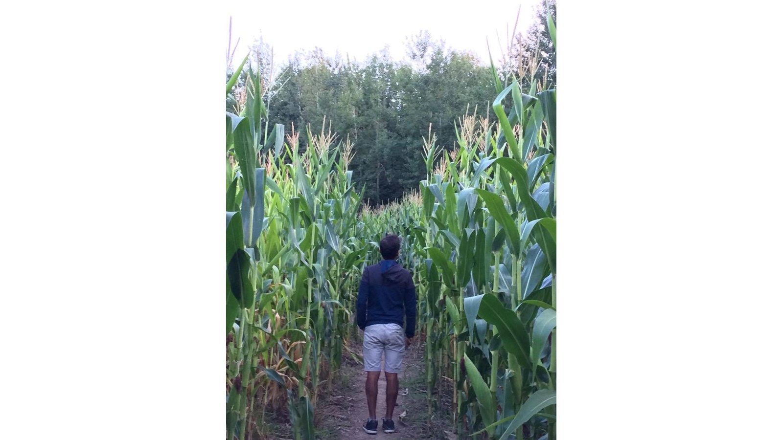 Les labyrinthes du Verger Labonté: Un voyage dans le temps pour sauver ...