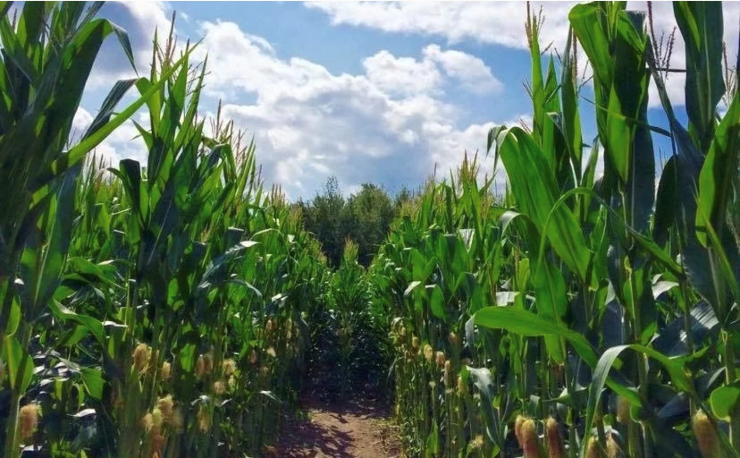Le Verger Labonté vous fait voyager dans le temps