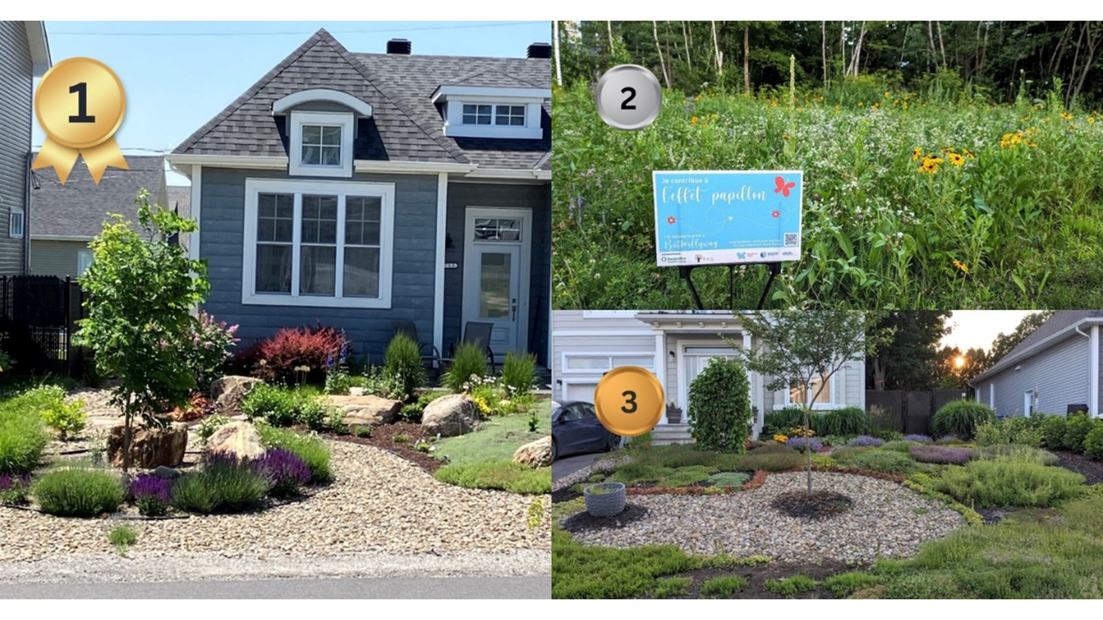 Saint-Lazare announces the winners of its first ecological landscaping ...