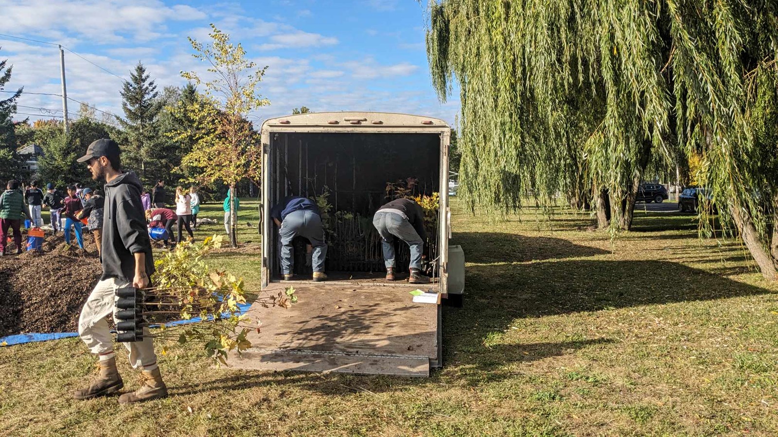 Pincourt plants its first Miyawaki microforest