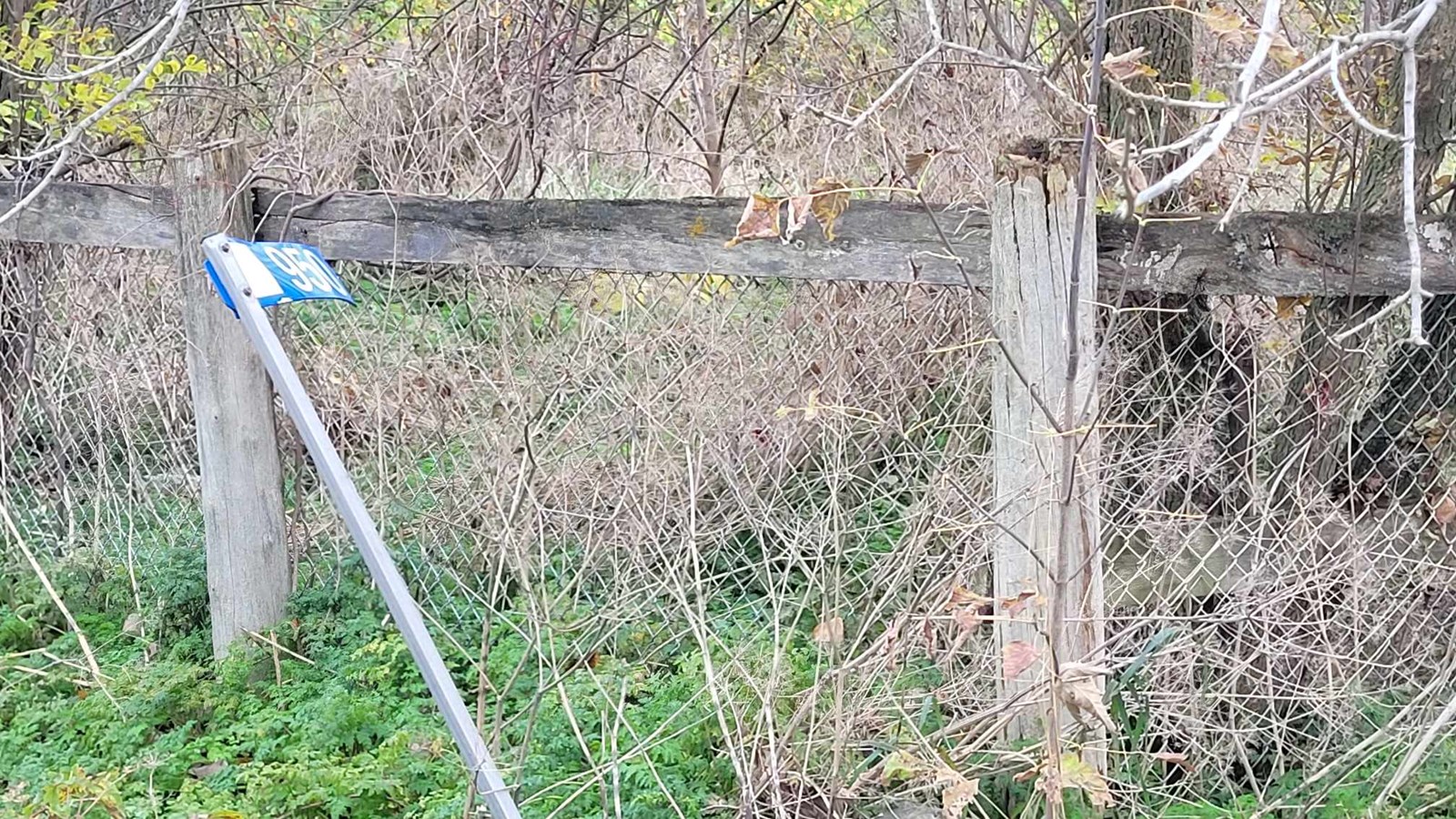 Chemin Saint-Dominique: complete closure until spring 2024