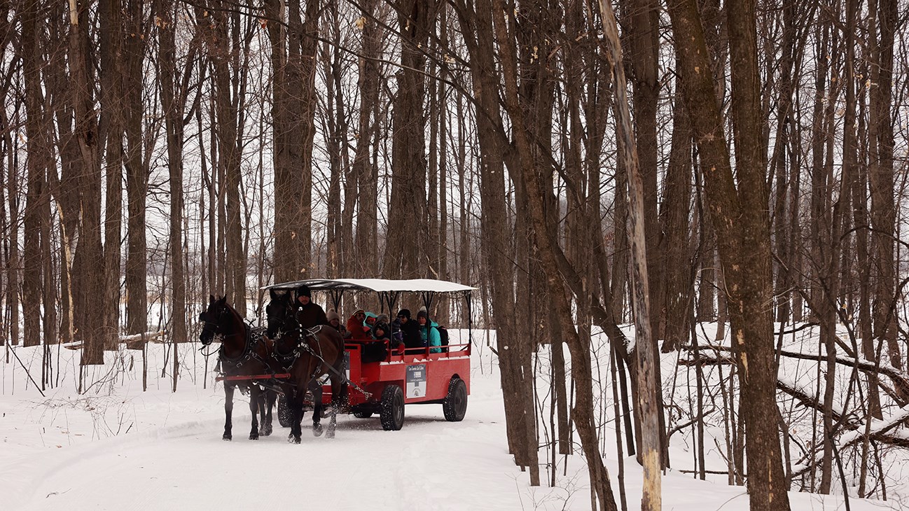 Retour en images sur la 4e édition du Yéti-Fest