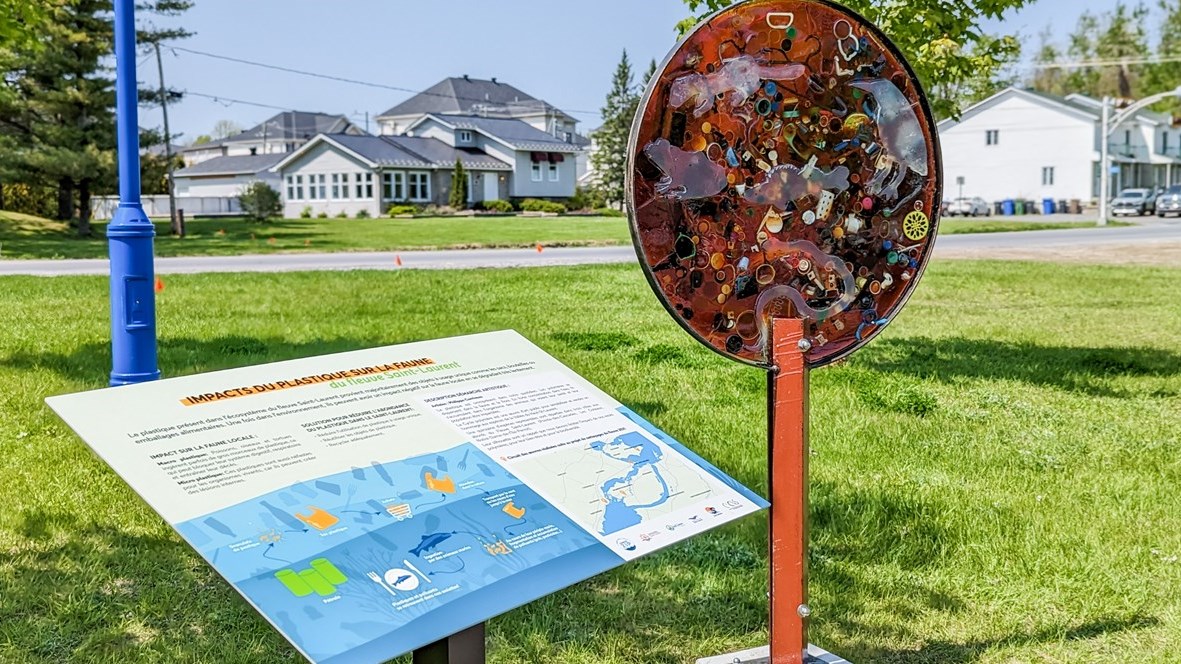 Une troisième oeuvre pour sensibiliser à l'environnement signée ...