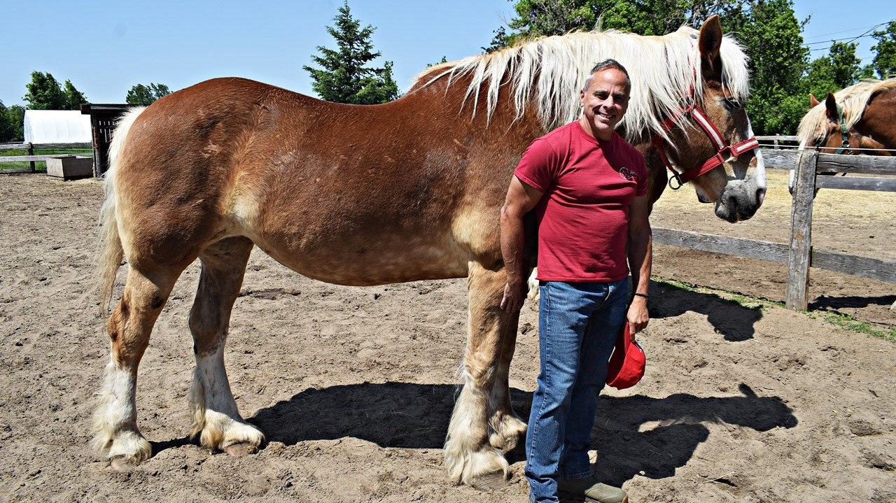 Mayor Lachance says first Horse Day a "great success"