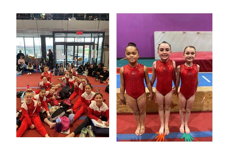 Gymini gymnasts put in a fine performance at the 3rd regional competition