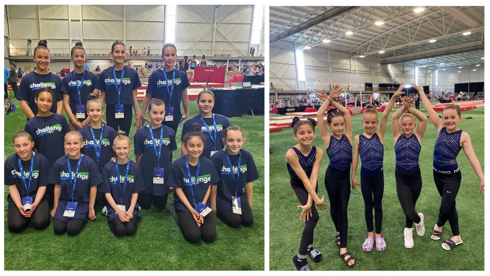 Eight new medals for Gymini