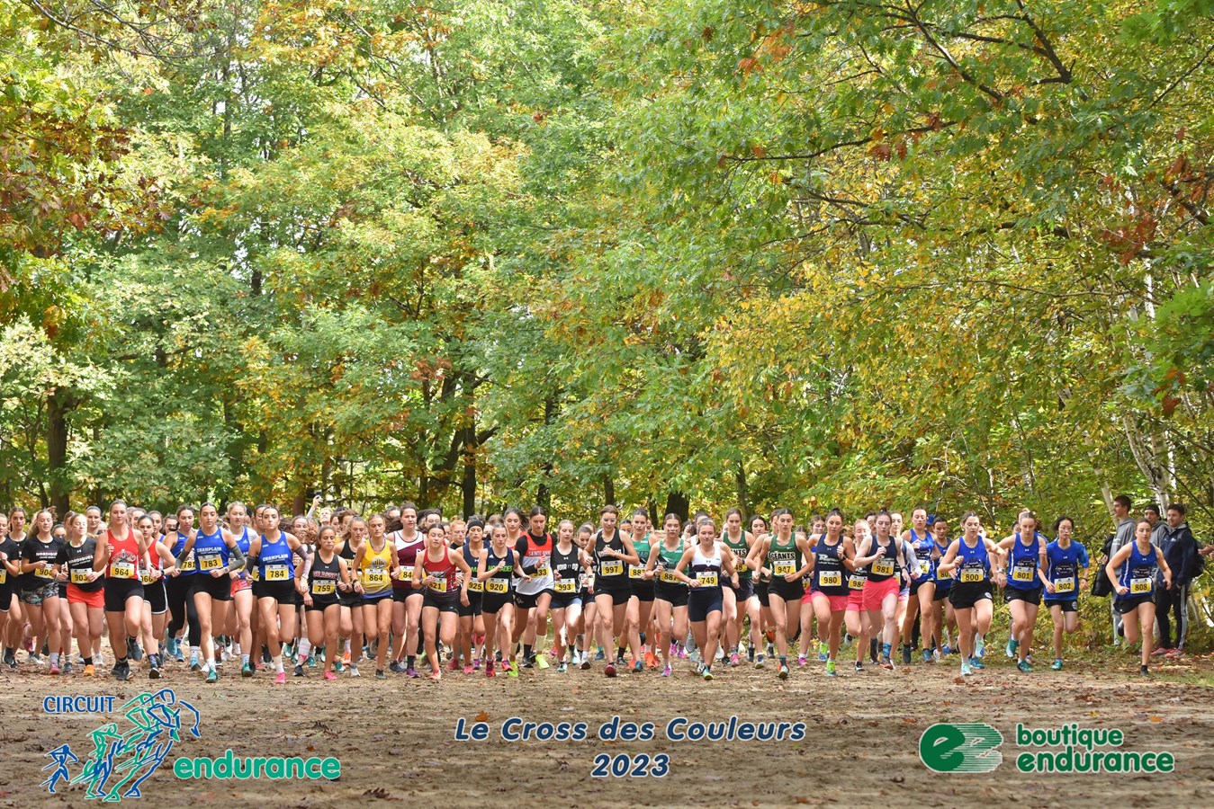 Region selected to host provincial cross-country championships