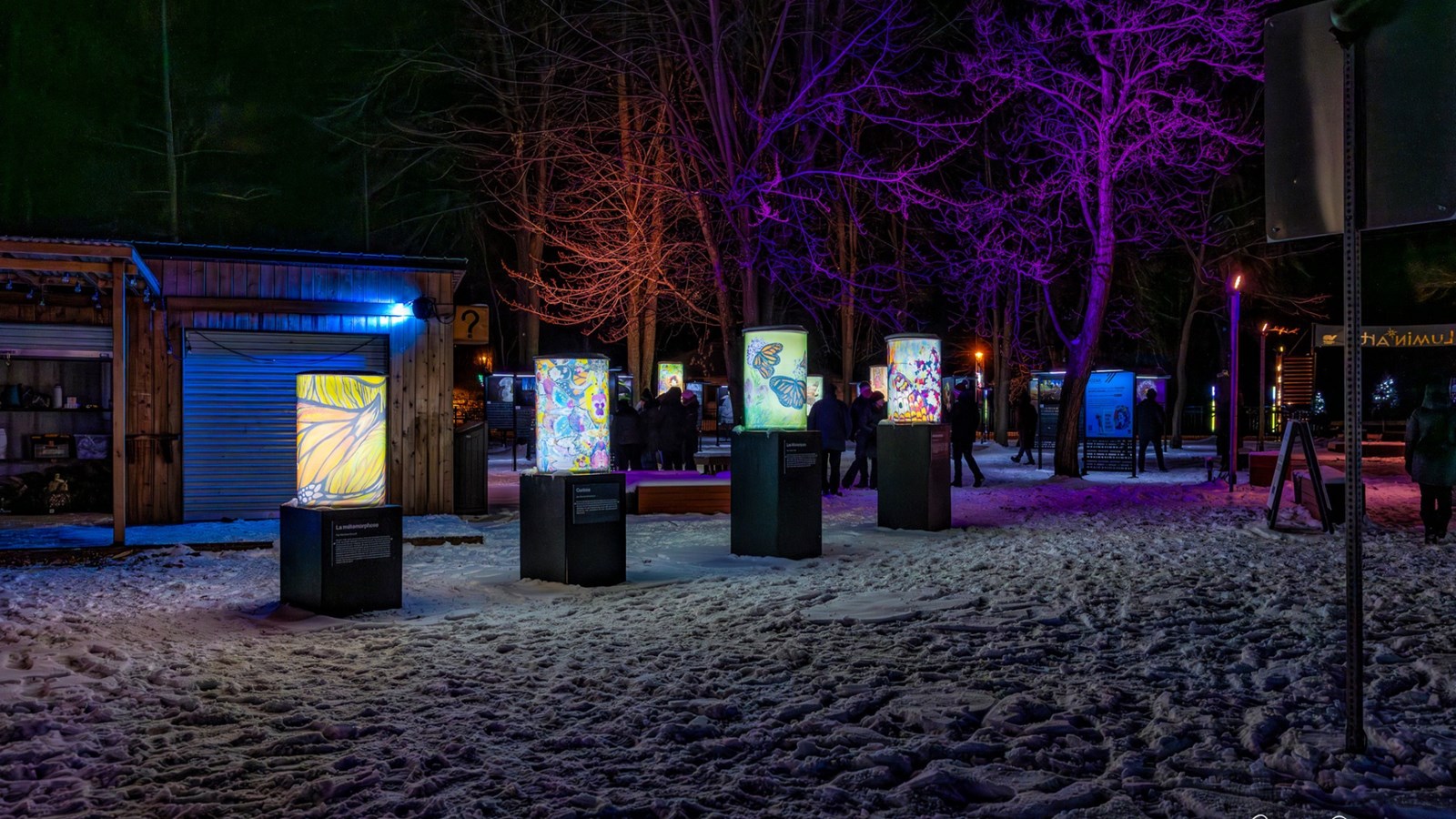 Découvrez la 5e édition de Lumin'Art au parc 405 d'ici le 16 février
