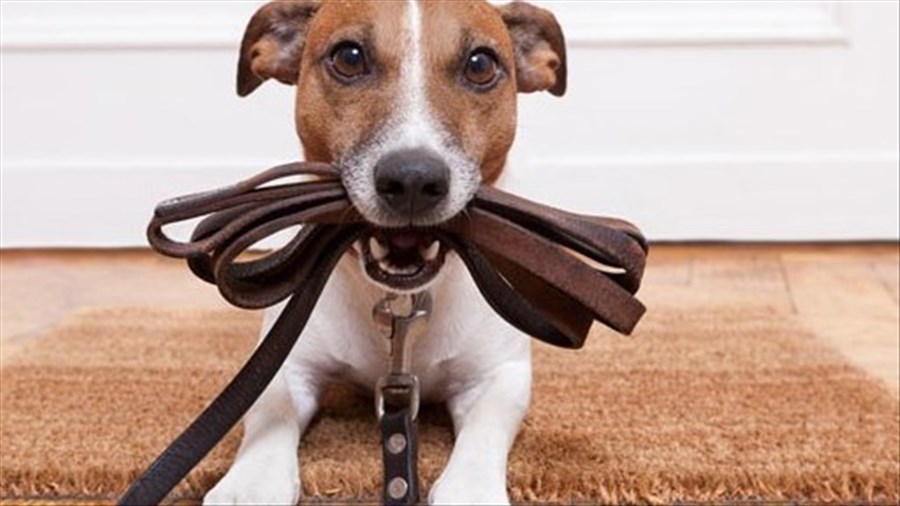 Le Skratch s'installe à Vaudreuil-Dorion