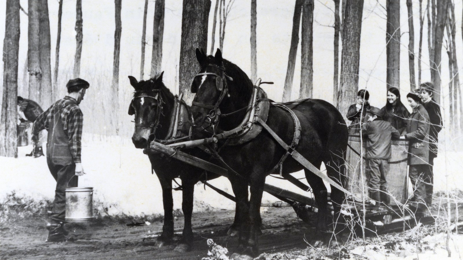 Courte histoire de la cabane à sucre