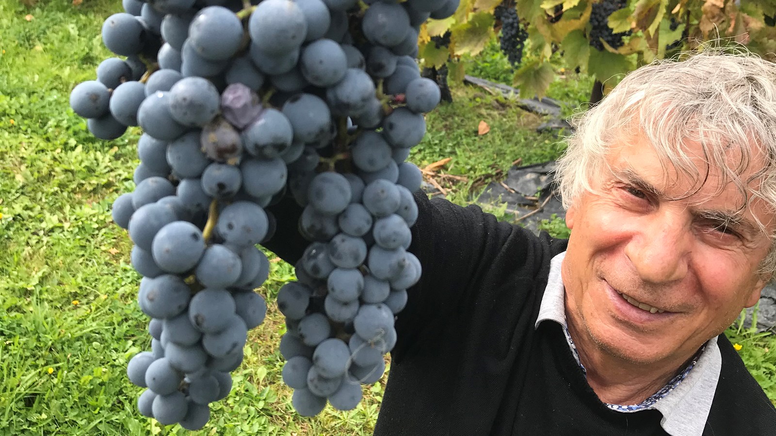 Cette année, offrez une parcelle de la région de Vaudreuil-Soulanges en cadeau